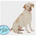 Cute Small Labrador Retriever Photo Realistic Cross Stitch Pattern ...