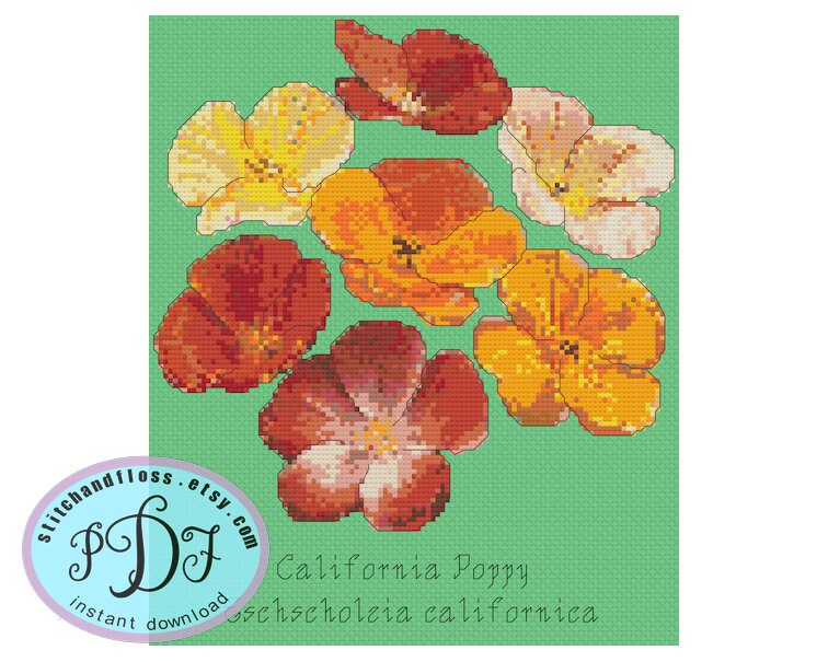 California Poppy - Eschscholzia Californica - State Flower - Pretty ...