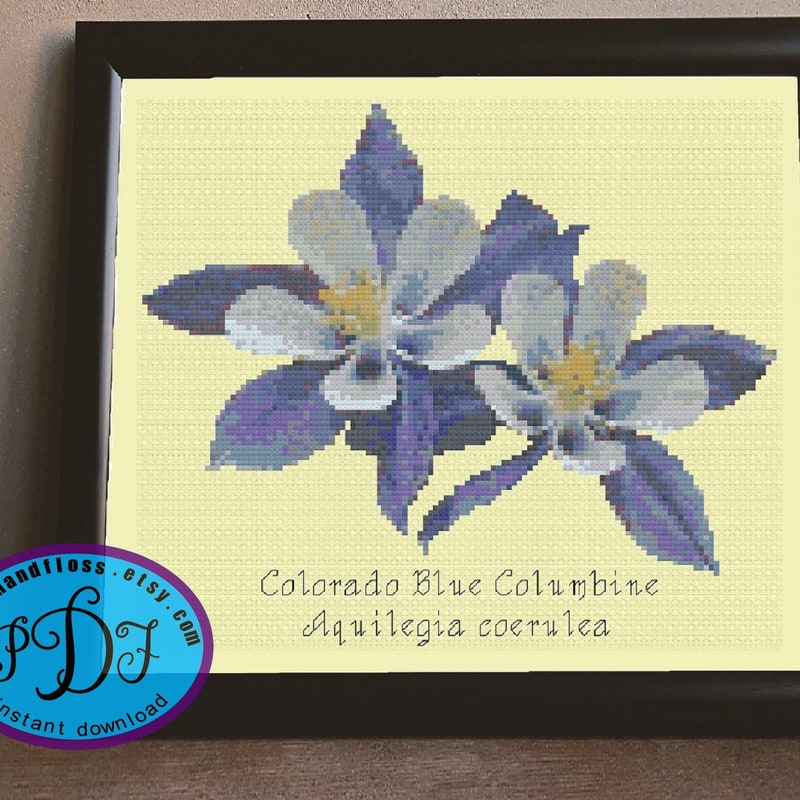 Colorado Cross Stitch - Etsy