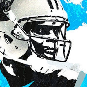 Cam Newton Cameron Jerrell Newton Carolina Panthers, Wall Art, Sports ...