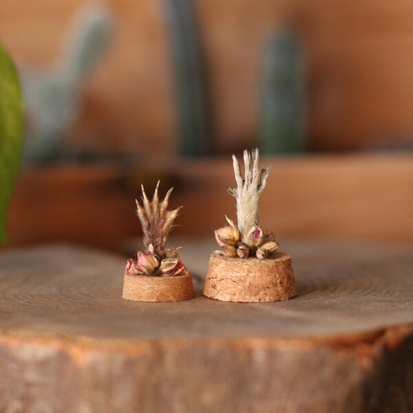 Bell Jar Taxidermy - Etsy