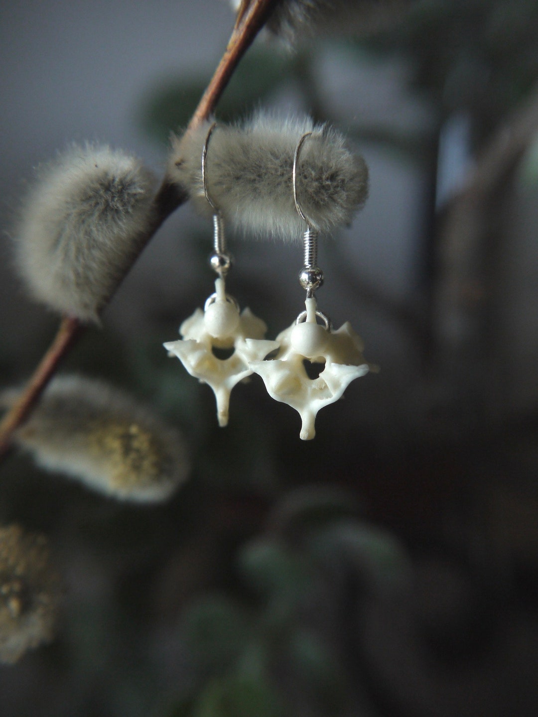 Earrings With Python Vertebrae - Etsy