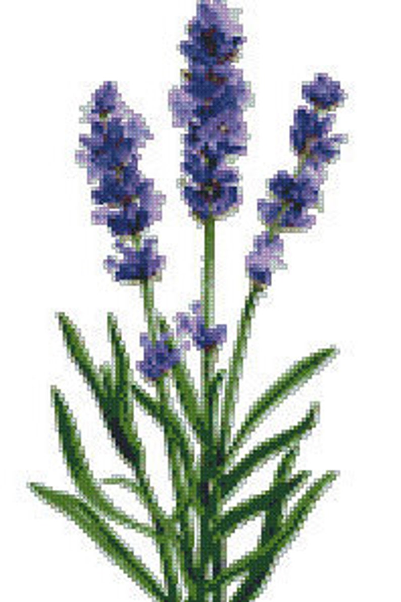 Lavender PDF Cross Stitch Counted Cross Stitch Chart PDF - Instant ...