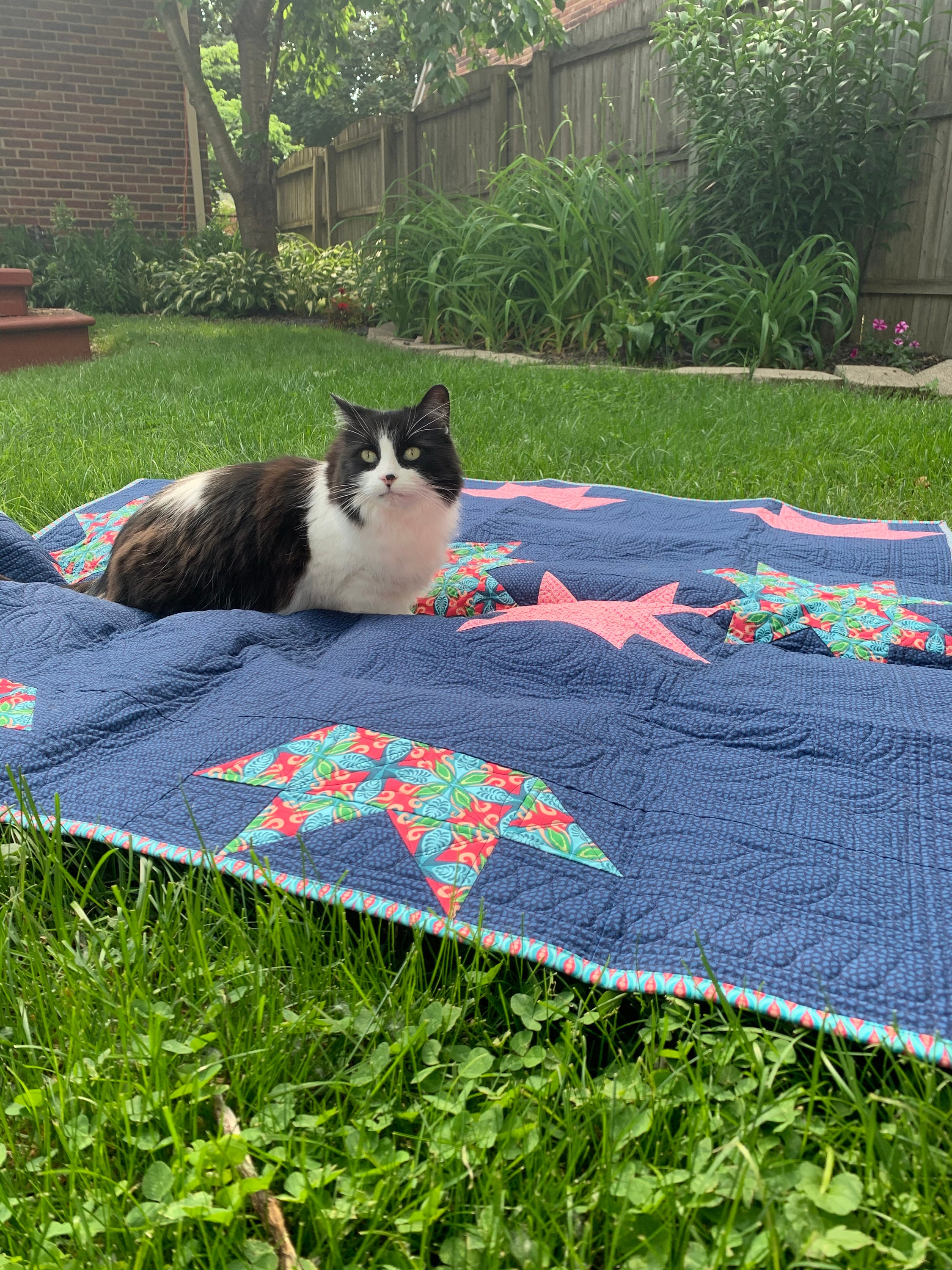 Stars Aligned PDF Quilt Pattern Throw Quilt Modern Quilt - Etsy Canada