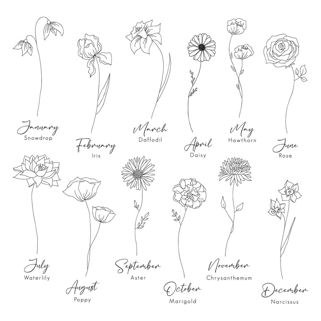 12 Birth Flower Line Art Illustrations – Minimalist Floral Clipart PNG ...