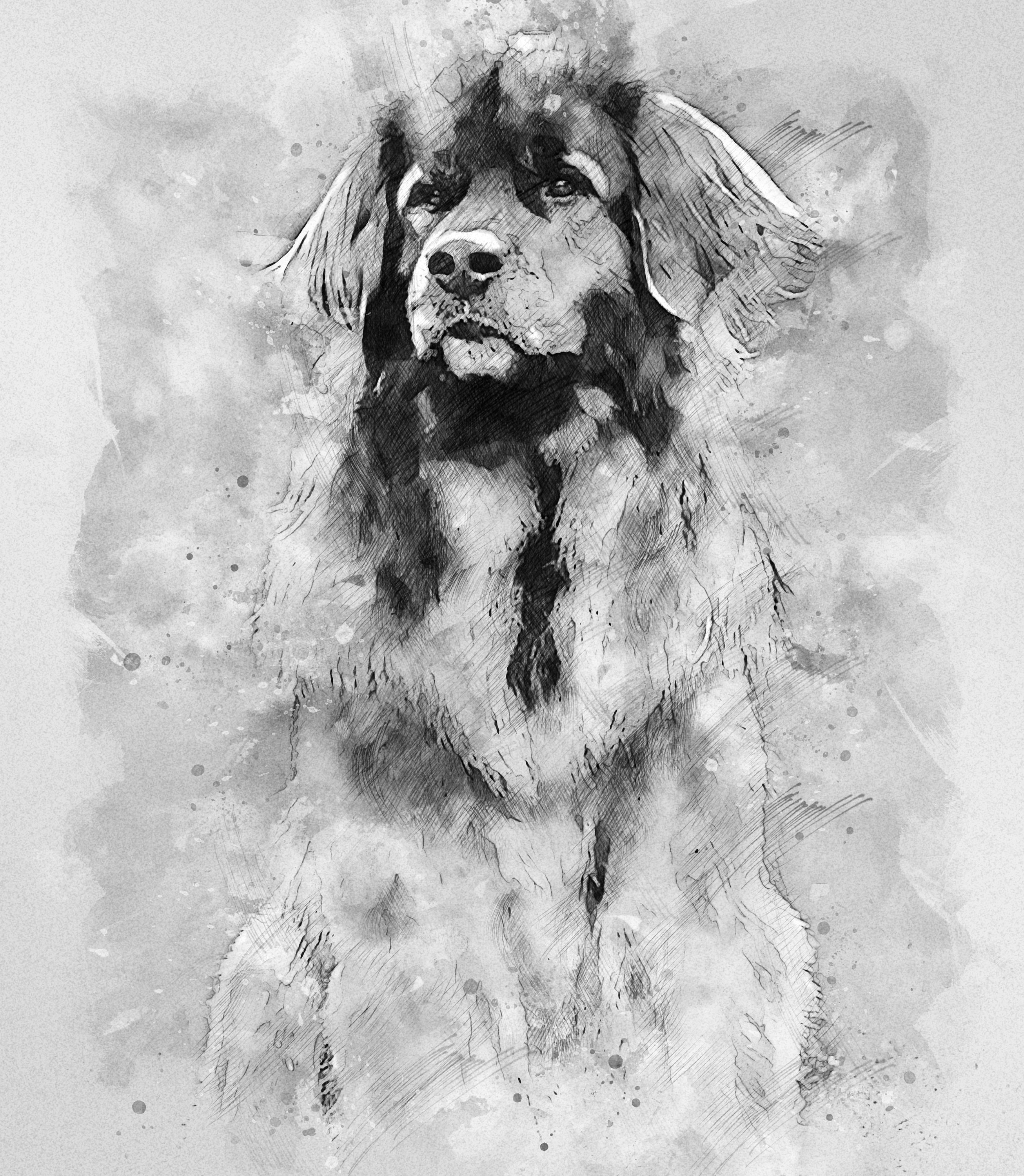 Cat Memorial Gifts pet Memorials pet Memorial Gift dog Etsy cat-memorial-gifts-pet-memorials-pet-memorial-gift-dog-etsy