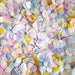 Spring Pastel Confetti Circles - Biodegradable Confetti, Perfect for ...
