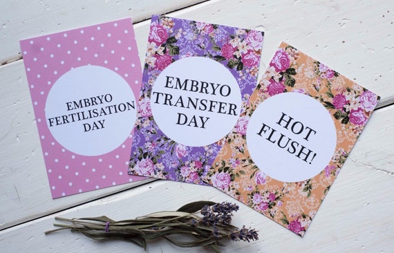 IVF Gifts IVF Journey Cards ® Bright Floral Celebrate - Etsy