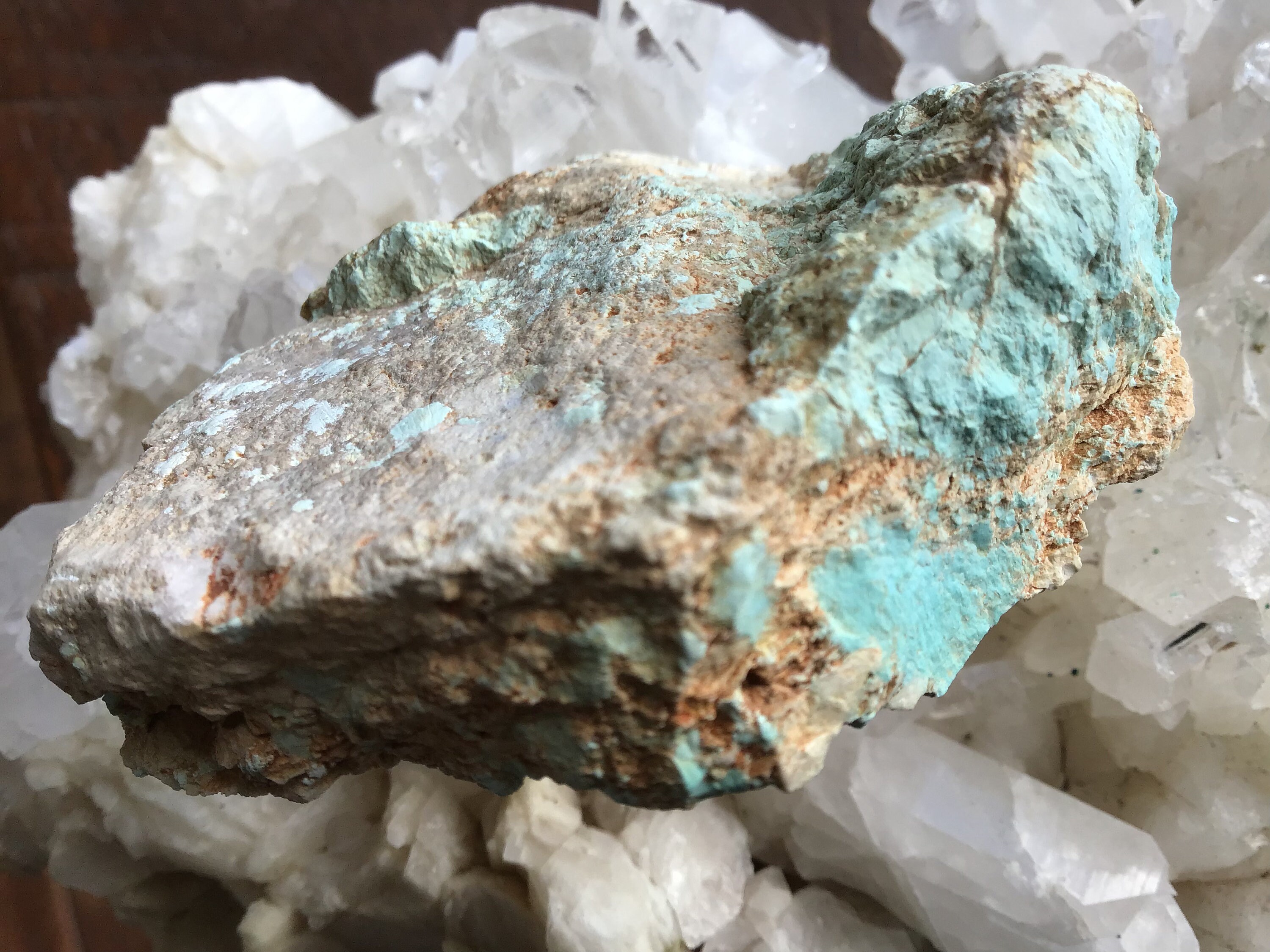 Australian Turquoise Specimen From Ammaroo Station in the - Etsy Australia