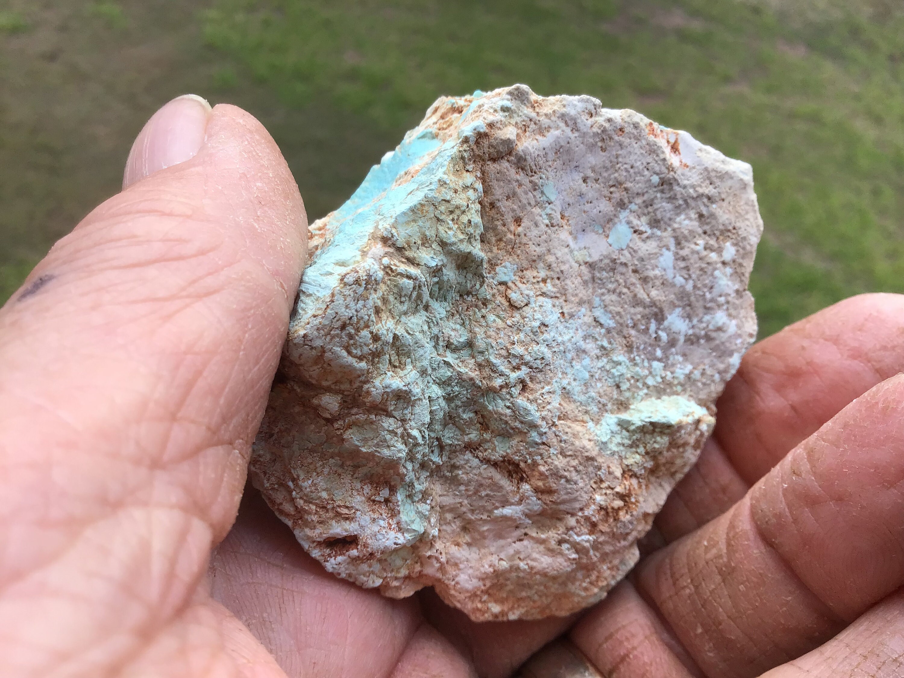 Australian Turquoise Specimen From Ammaroo Station in the - Etsy Australia