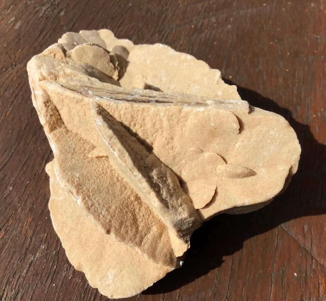 Bladed Gypsum and Barite Specimen From Nambia - Etsy