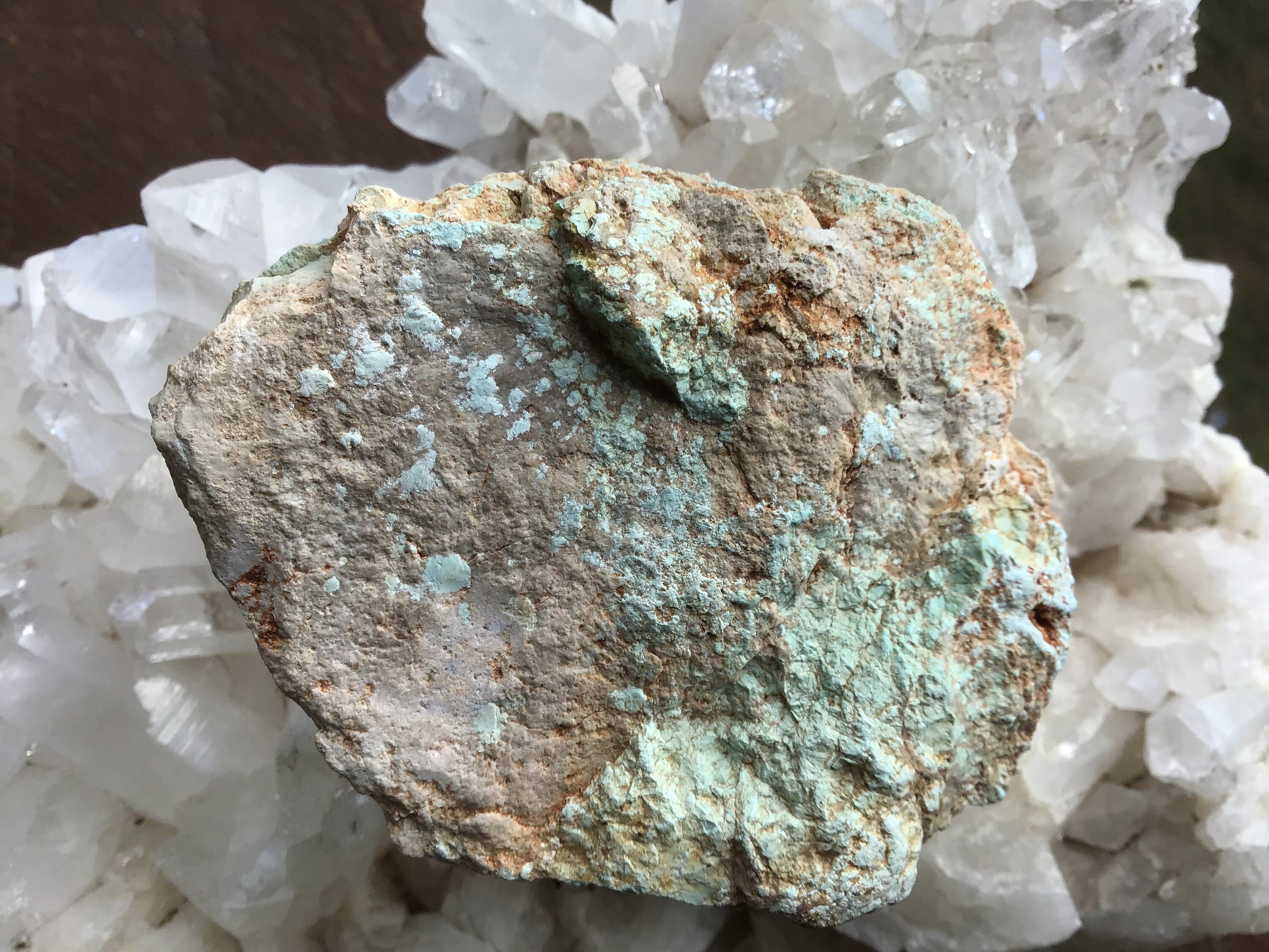 Australian Turquoise Specimen From Ammaroo Station in the - Etsy Australia