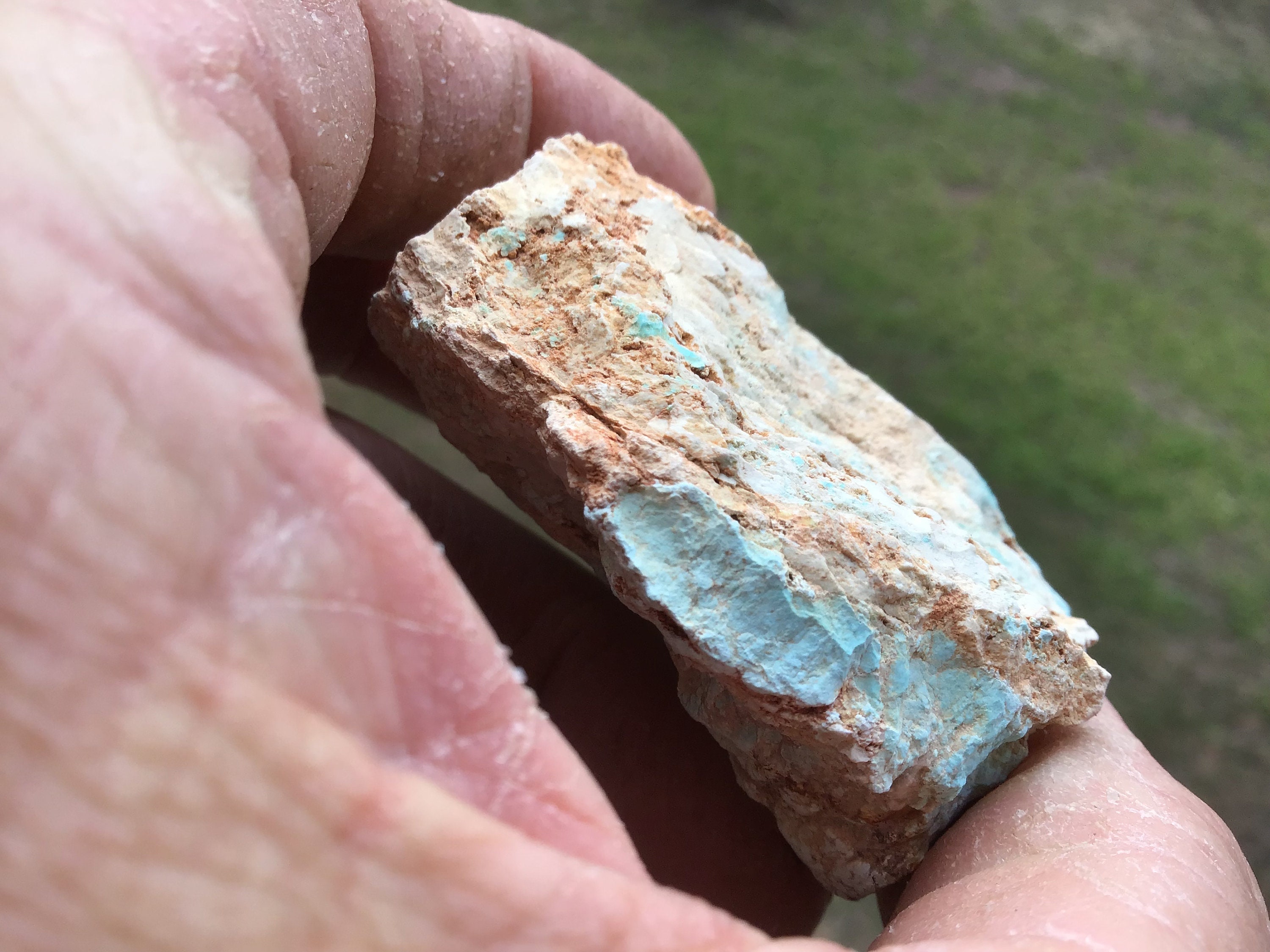 Australian Turquoise Specimen From Ammaroo Station in the - Etsy Australia