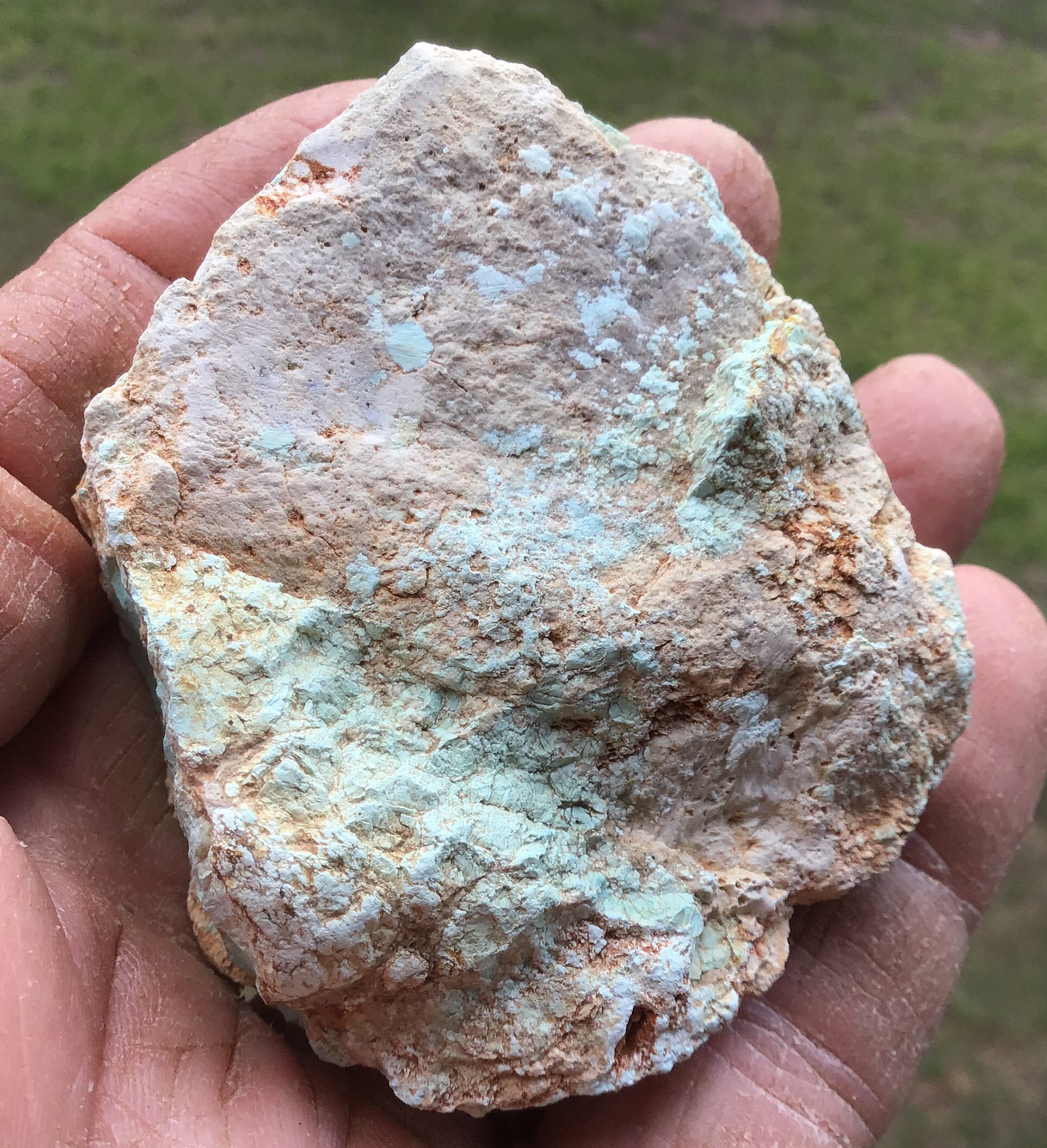 Australian Turquoise Specimen From Ammaroo Station in the Northern ...