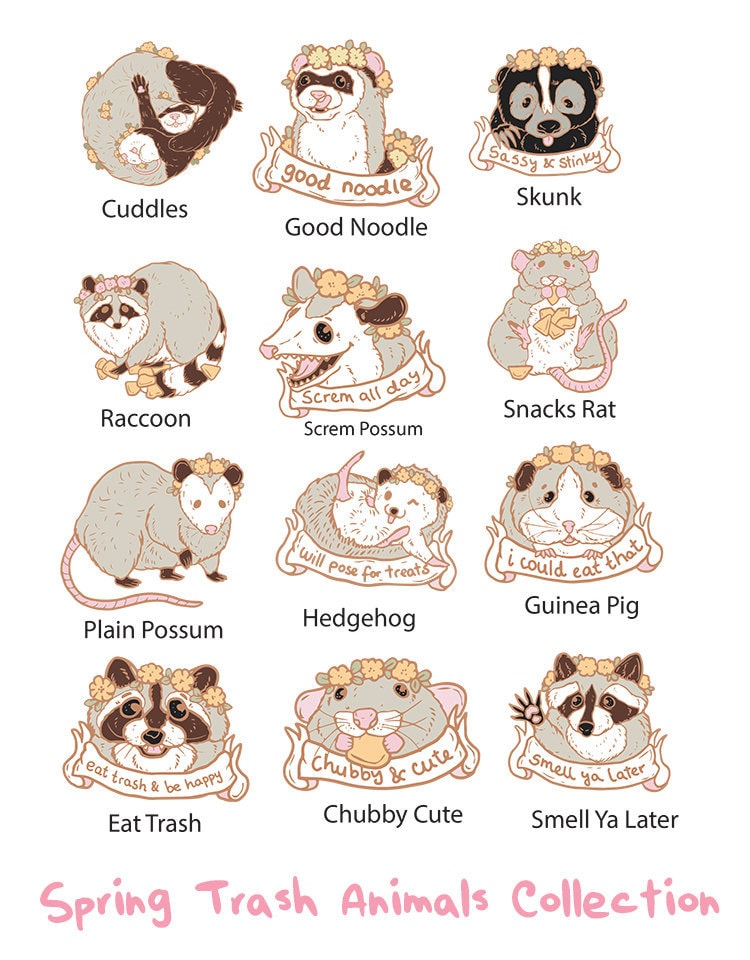 ON SALE Spring Trash Animals Hard Enamel Pin Gold Metal Rat - Etsy