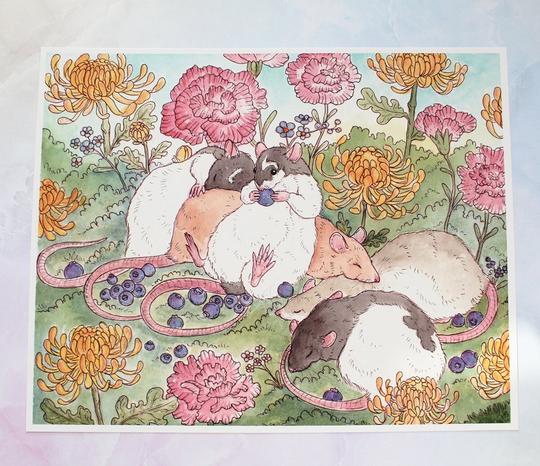 Rat Art Print Rats Sleeping in a Field of Flowers 8x10 Inches - Etsy