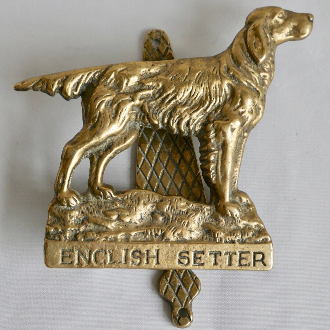 Vintage Brass Door Knocker English Setter Dog Design - Etsy UK