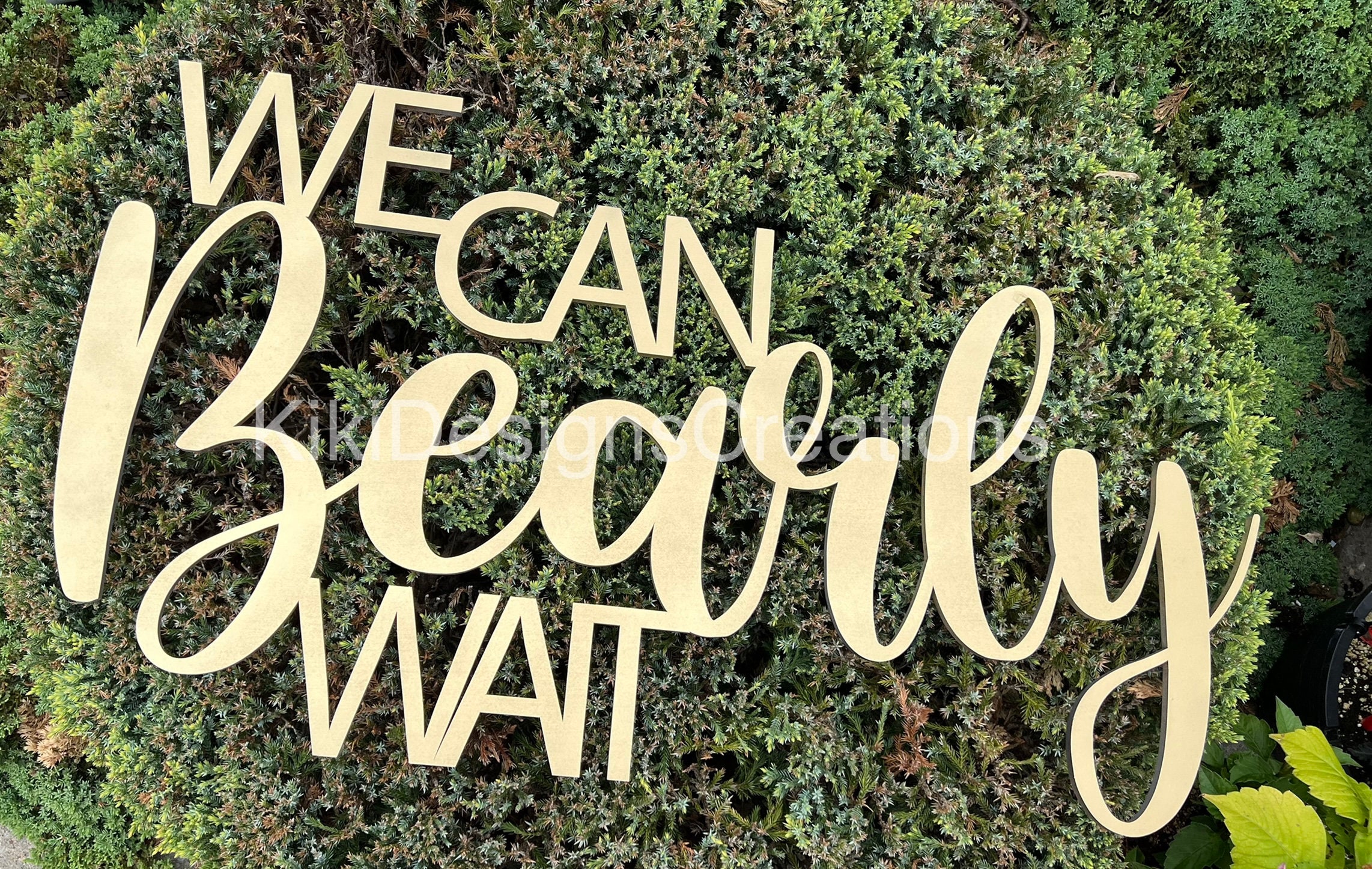 We Can Bearly Wait Sign Baby Shower Backdrop Sign Bear Theme - Etsy