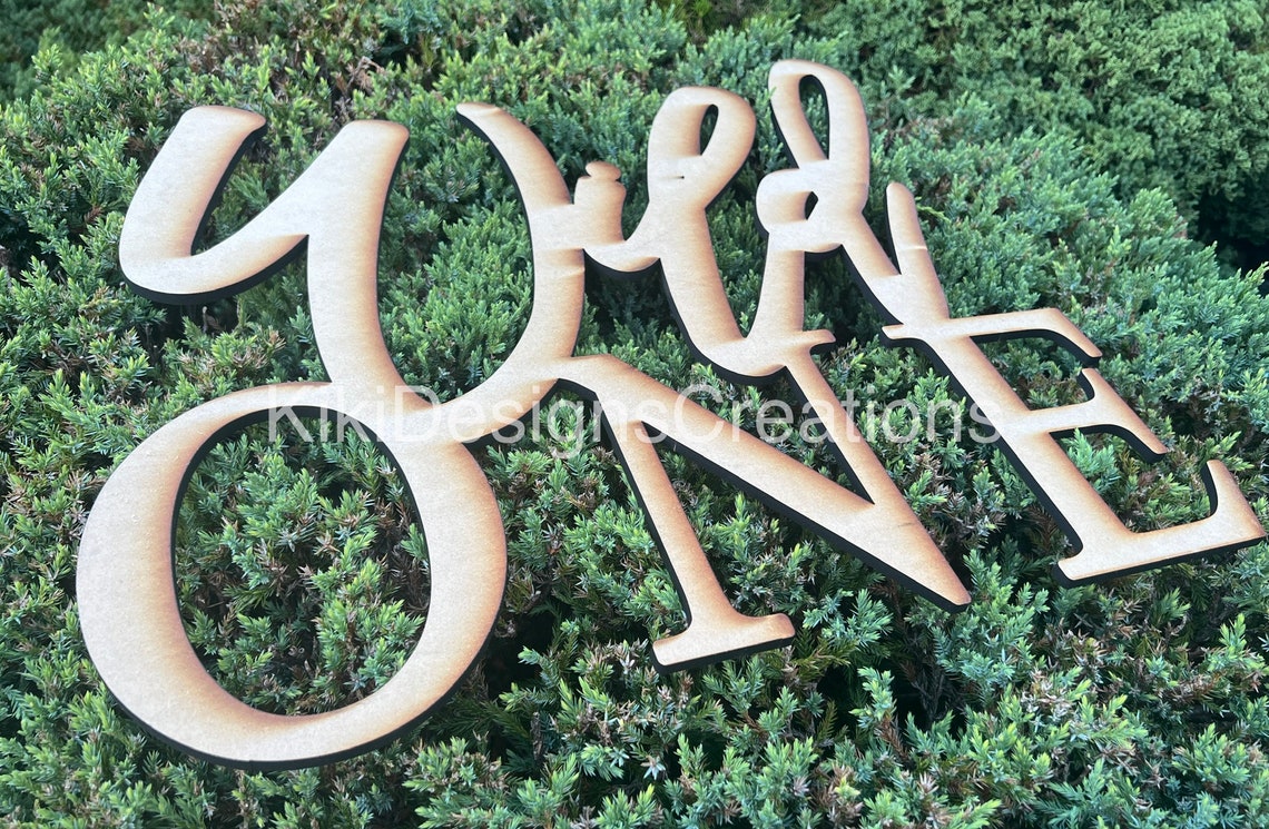 Wild One Sign Party Backdrop Sign Safari Jungle Theme - Etsy