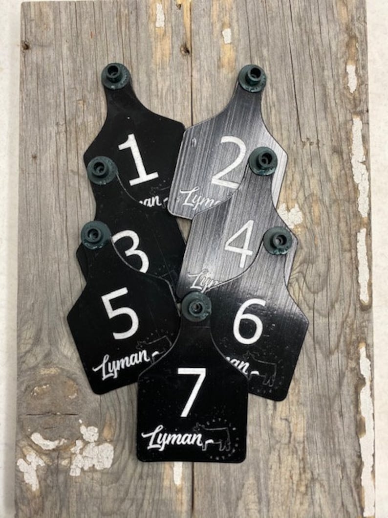 Custom Livestock Large Engraved Tags, Goat Tag, Sheep Ear Tag, Cattle ...