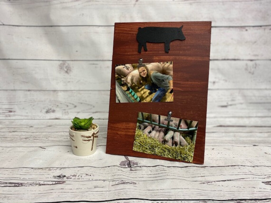 Show pig photo board display show pig board livestock | Etsy