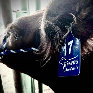 Custom Livestock Large Engraved Tags, Goat Tag, Sheep Ear Tag, Cattle ...