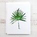 Tropical Note Card Set - Etsy