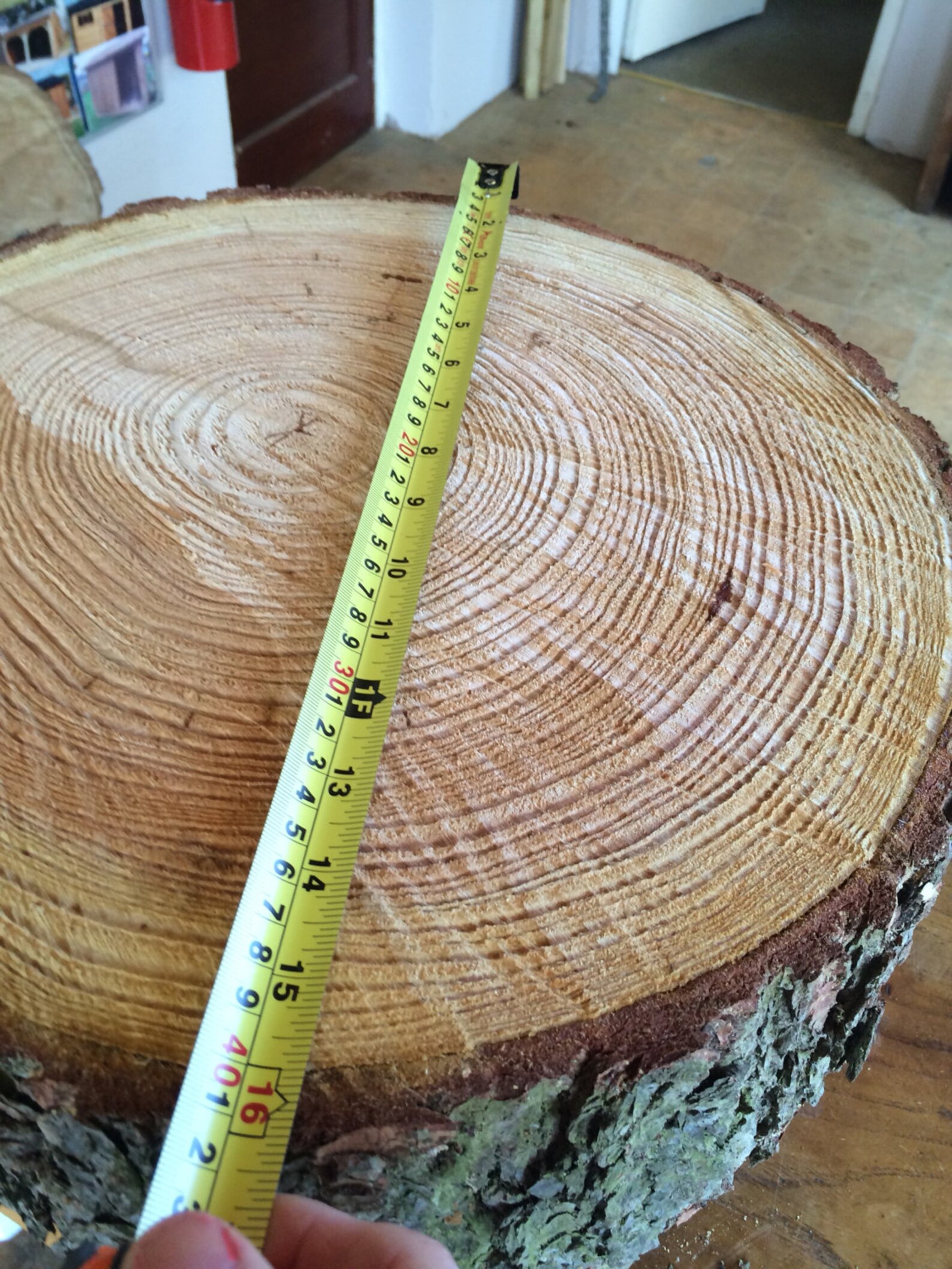 Gorgeous 16 Rustic Log Slice X 4 Thick Ideal for - Etsy UK