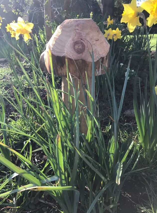 Large Rustic Cut Wooden Toadstool Ideal for Woodland Weddings - Etsy UK