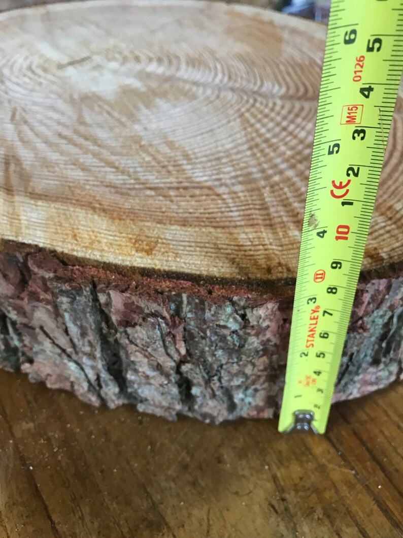 Gorgeous 17 15 Rustic Log Slice X 3 Thick - Etsy