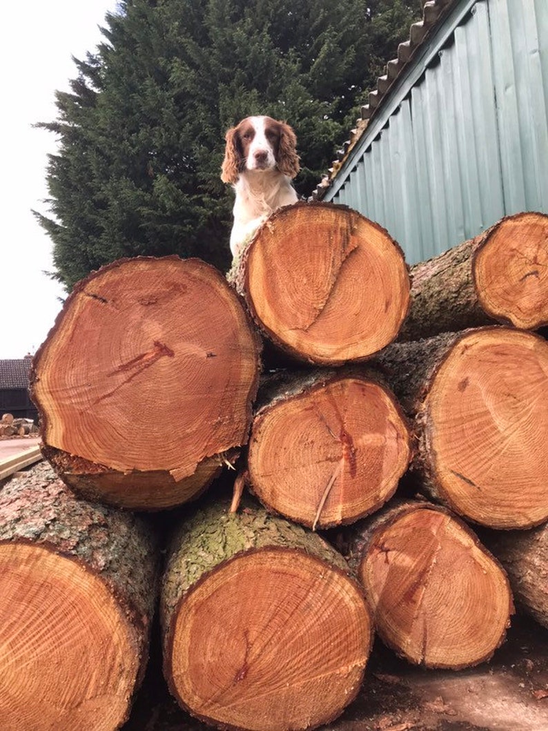 Two Tiered Rustic Wooden Log Wedding Cake Cup Stand | Etsy