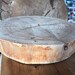 Gorgeous 18 Rustic Log Slice X 3 Thick Without - Etsy UK