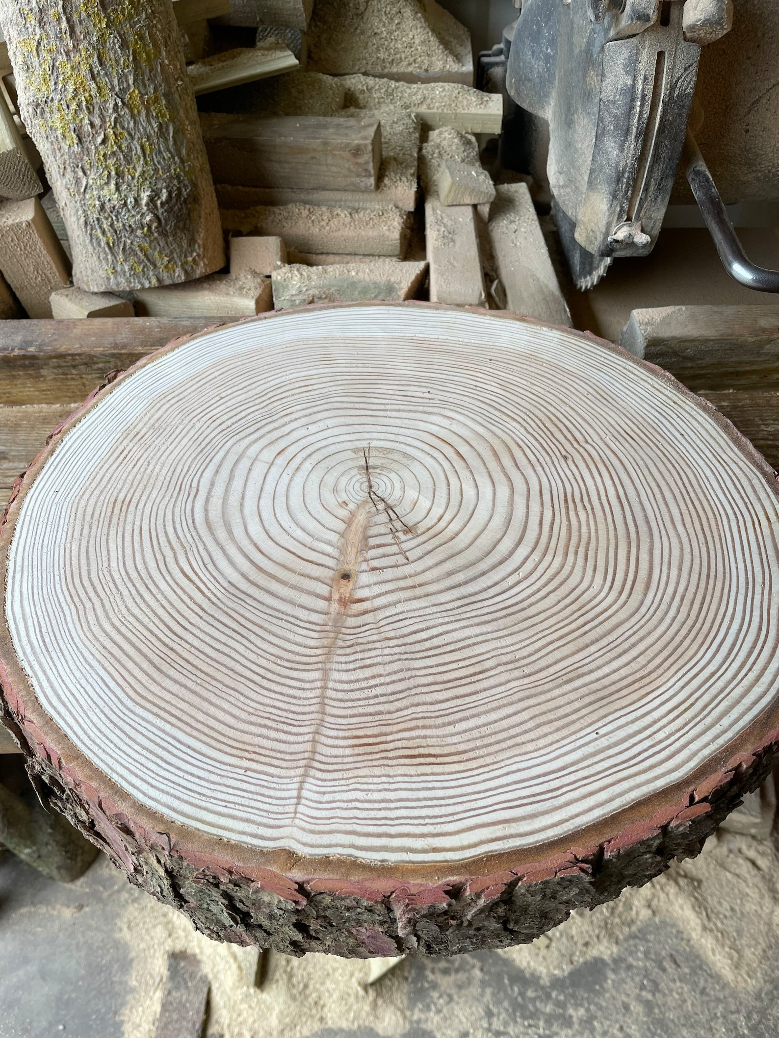 Sustainable Wooden Log Cake Stand Rustic or Sanded Wedding - Etsy