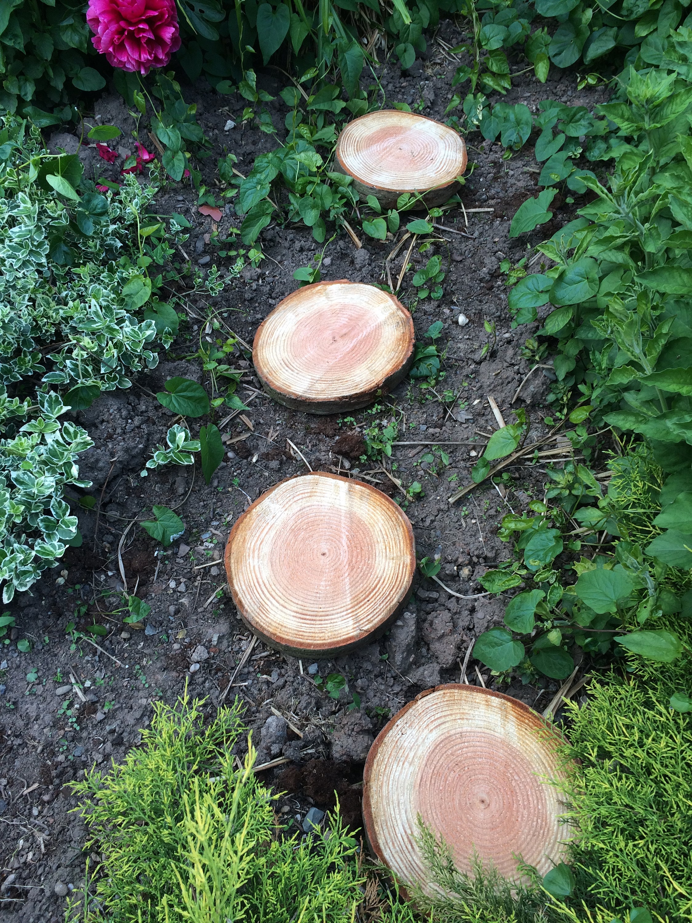 Four 10 12 Wooden Garden Stepping Stones Rustic - Etsy