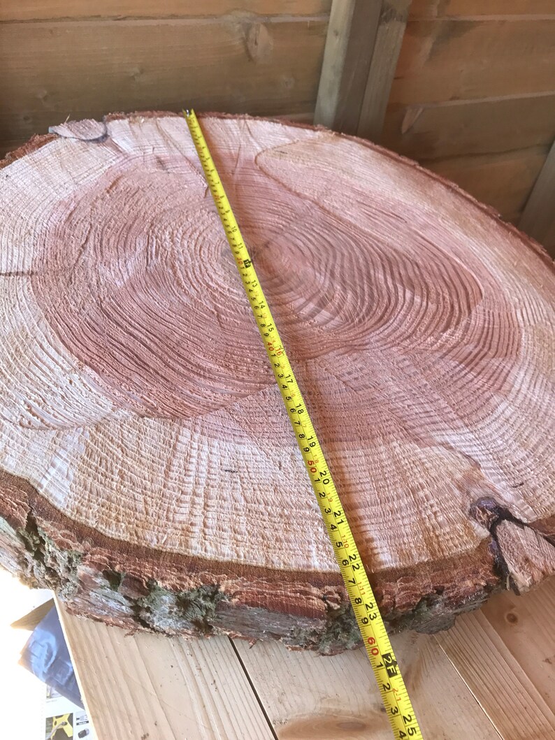 Very Large Gorgeous 2123 Rustic Log Slice X | Etsy UK