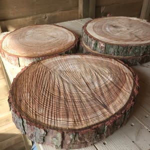 Six 10" Rustic Log Slices X 2" Thick, Great for Table Centres and ...