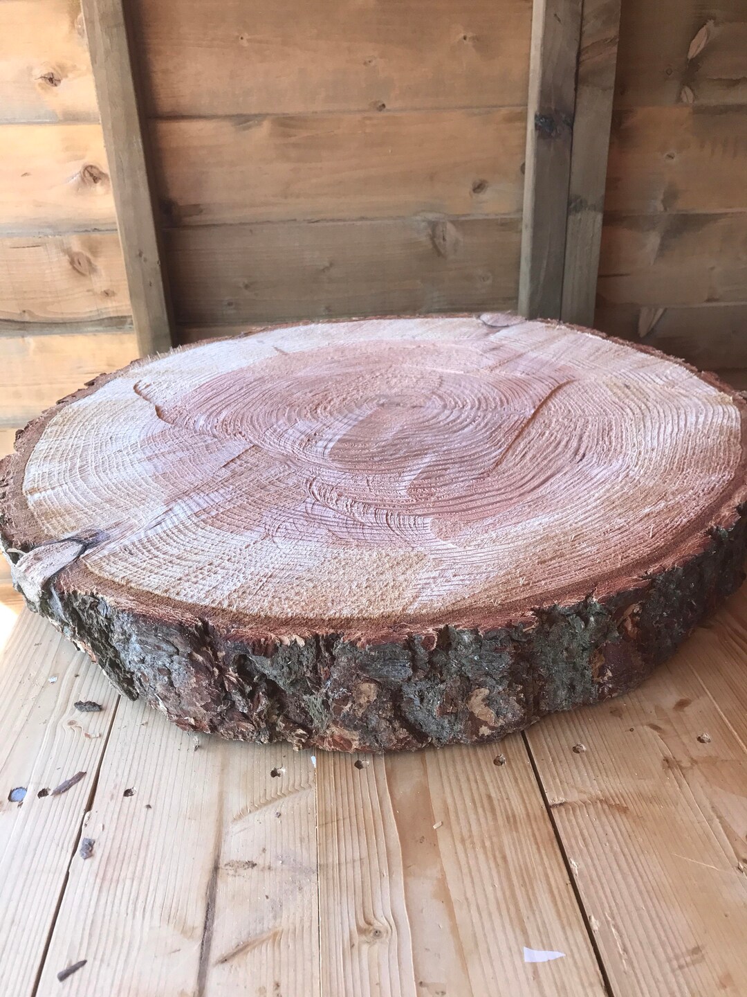 Very Large Gorgeous 2123 Rustic Log Slice X 3 Thick, Ideal for Wooden ...