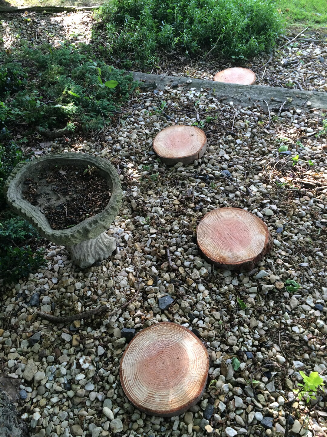 Five 10" - 12" Wooden Garden Stepping Stones, Rustic Log Slices, Garden ...