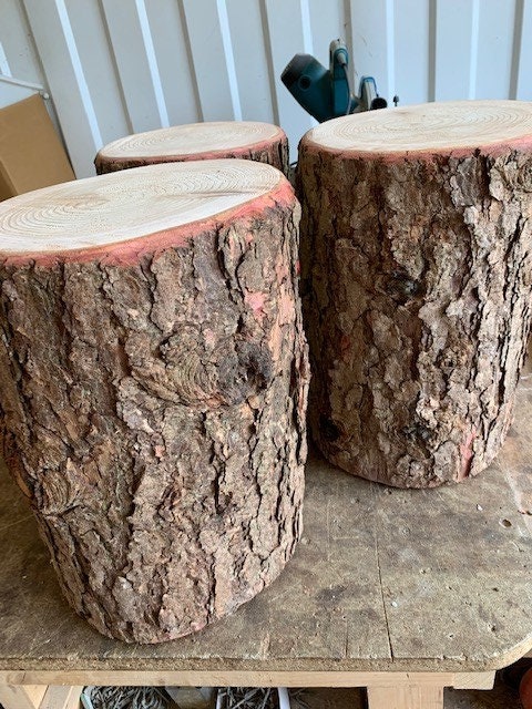 Rustic Wooden Log Stool With Bark Garden Seating Fire Pit - Etsy UK