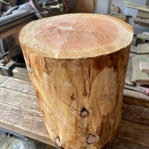 Rustic Log Stump/trunk, Without Bark for Stool Making / Garden, Wedding ...