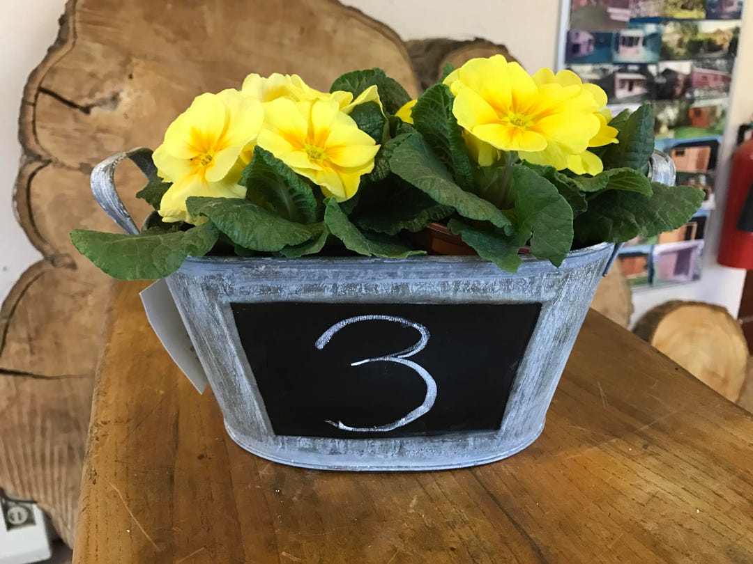 Vintage Style Distressed Metal Trough With Chalkboard for Marking Table ...