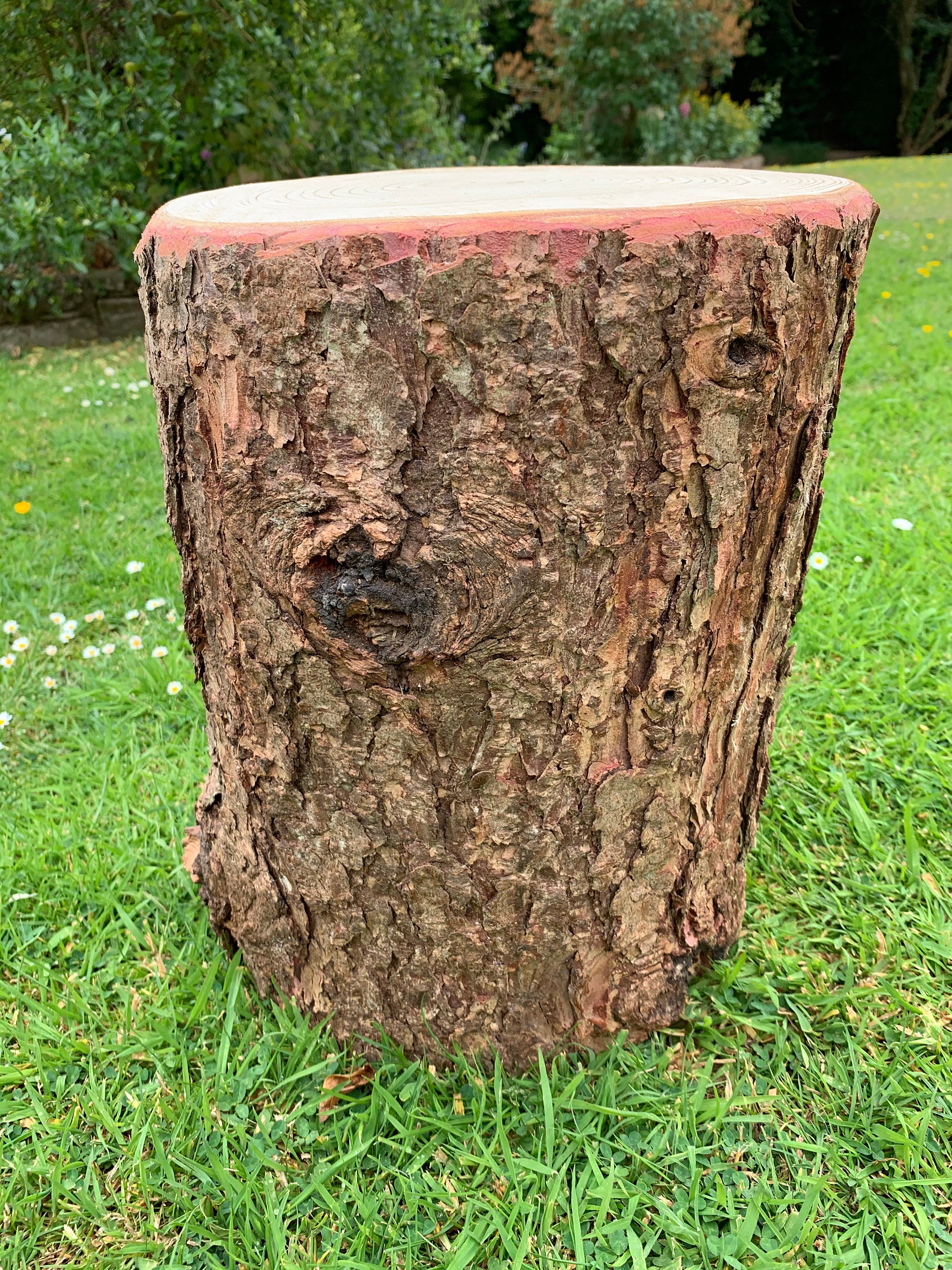 Rustic Wooden Log Stool With Bark Garden Seating Fire Pit - Etsy UK