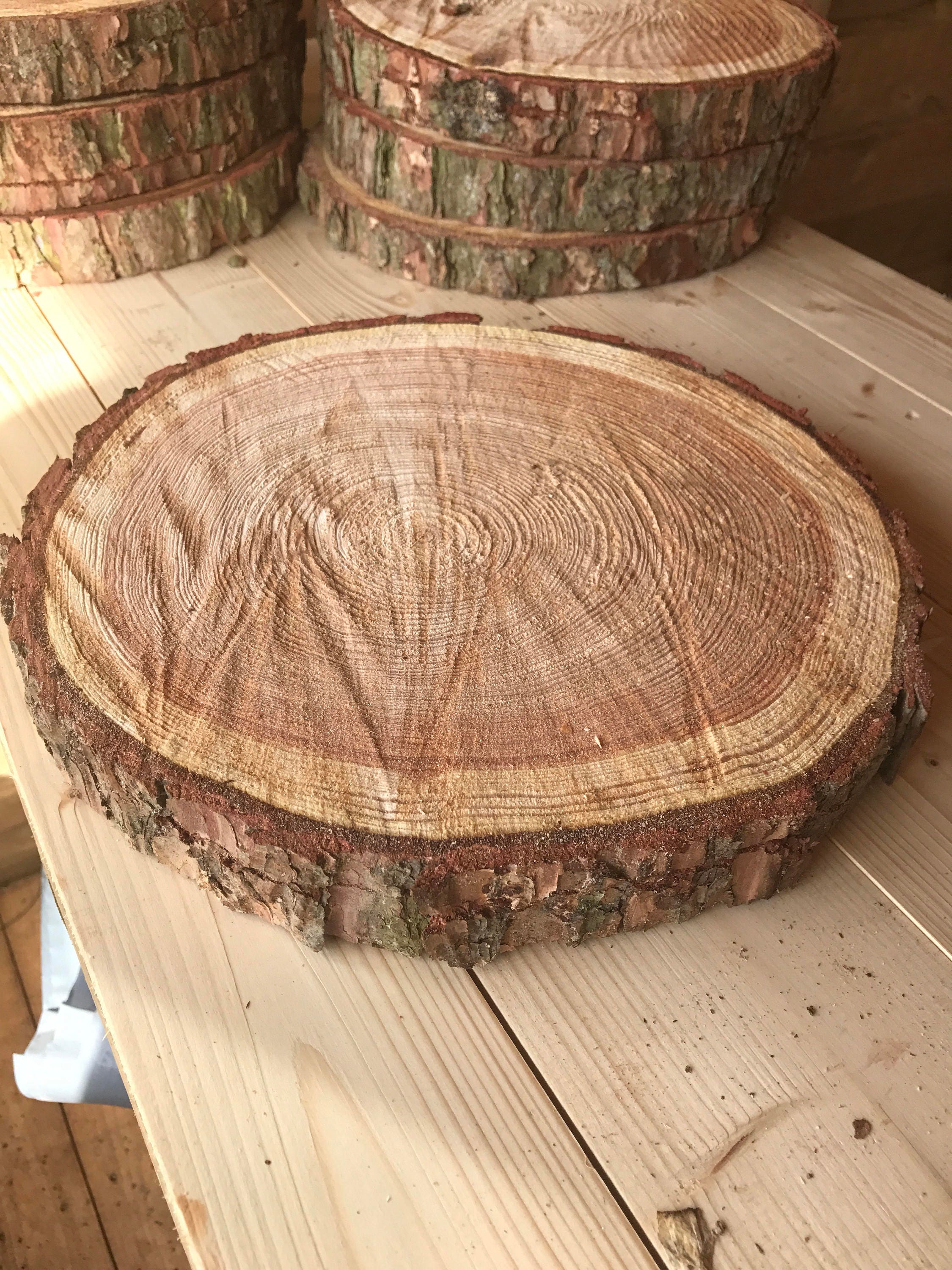 Six 10 Rustic Log Slices X 2 Thick Great for - Etsy UK