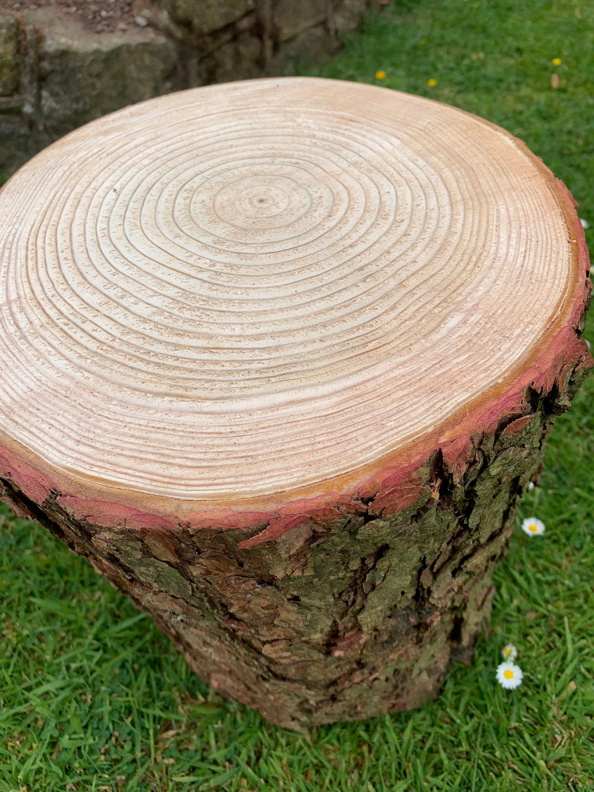 Rustic Wooden Log Stool With Bark Garden Seating Fire Pit - Etsy UK