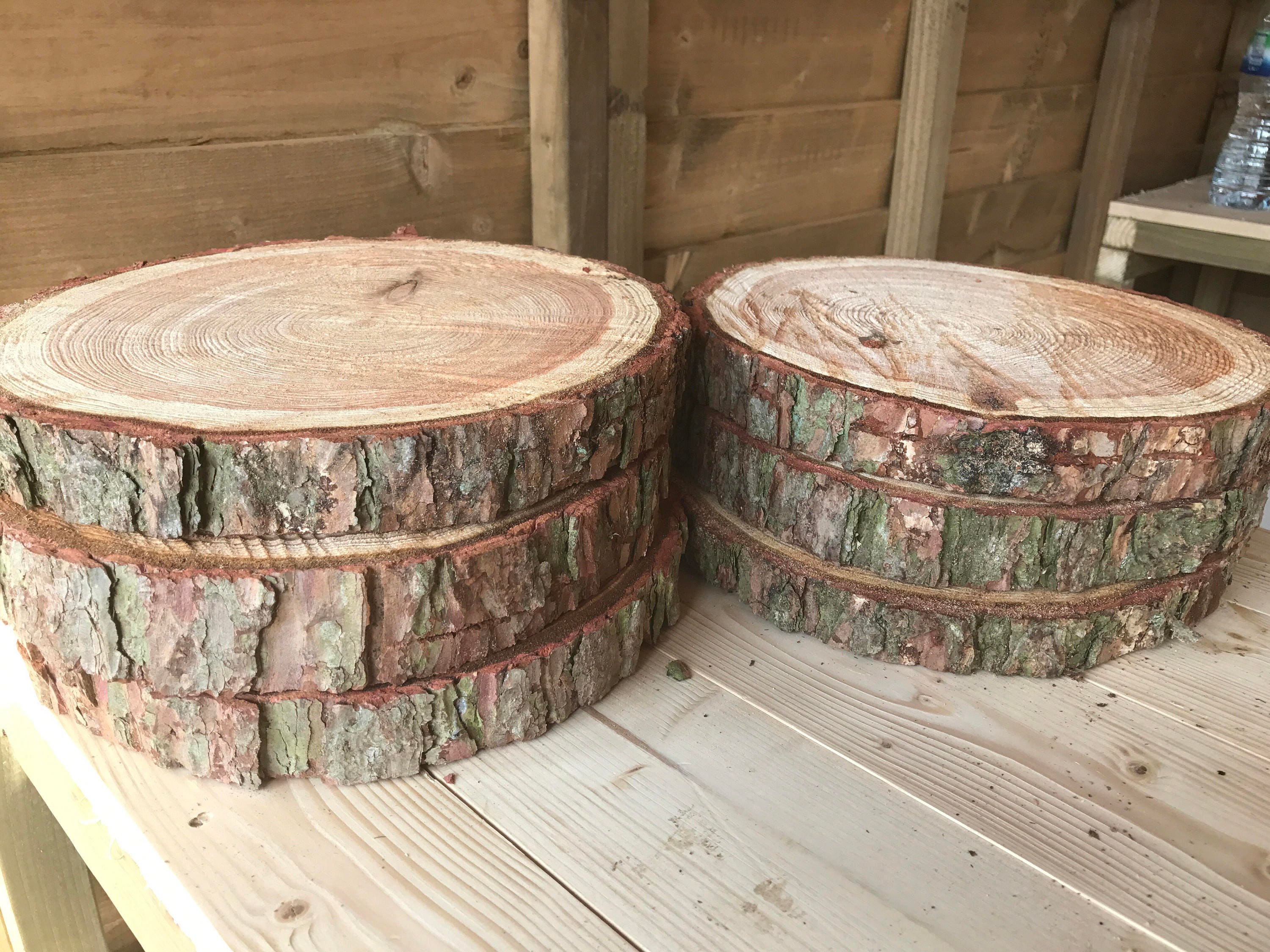 Six 10 Rustic Log Slices X 2 Thick Great for - Etsy UK
