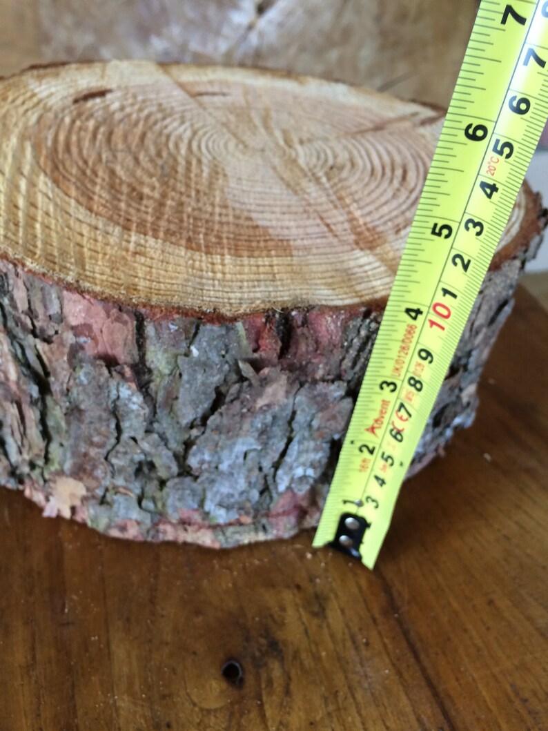 Gorgeous 14 Rustic Log Slice X 4 Thick Ideal for - Etsy UK
