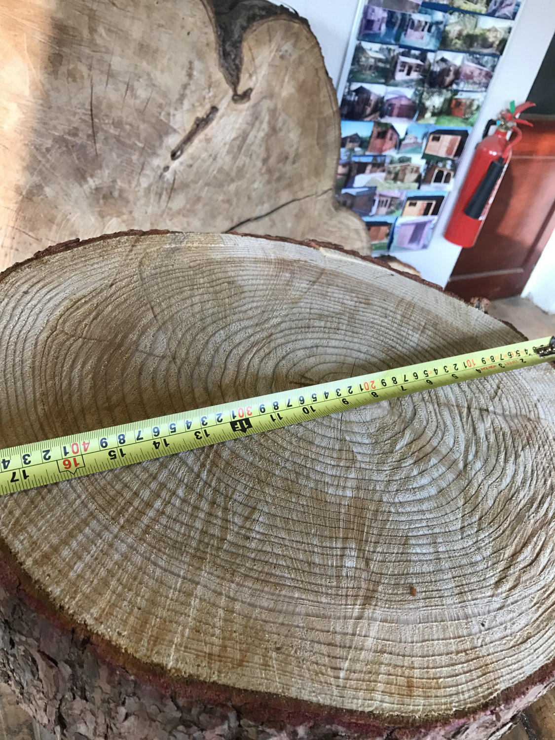 Gorgeous 18 Rustic Log Slice X 4 Thick Ideal for - Etsy UK