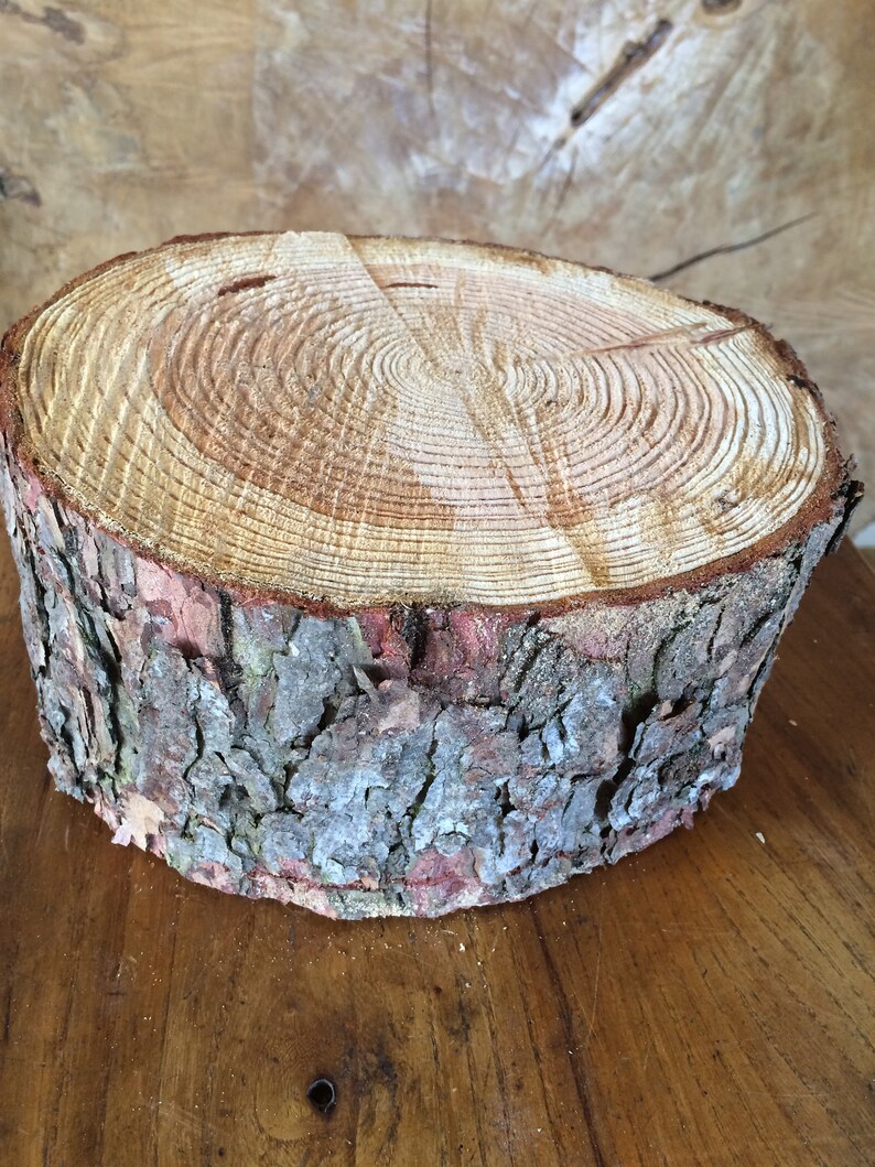 Gorgeous 14 Rustic Log Slice X 4 Thick Ideal for | Etsy UK