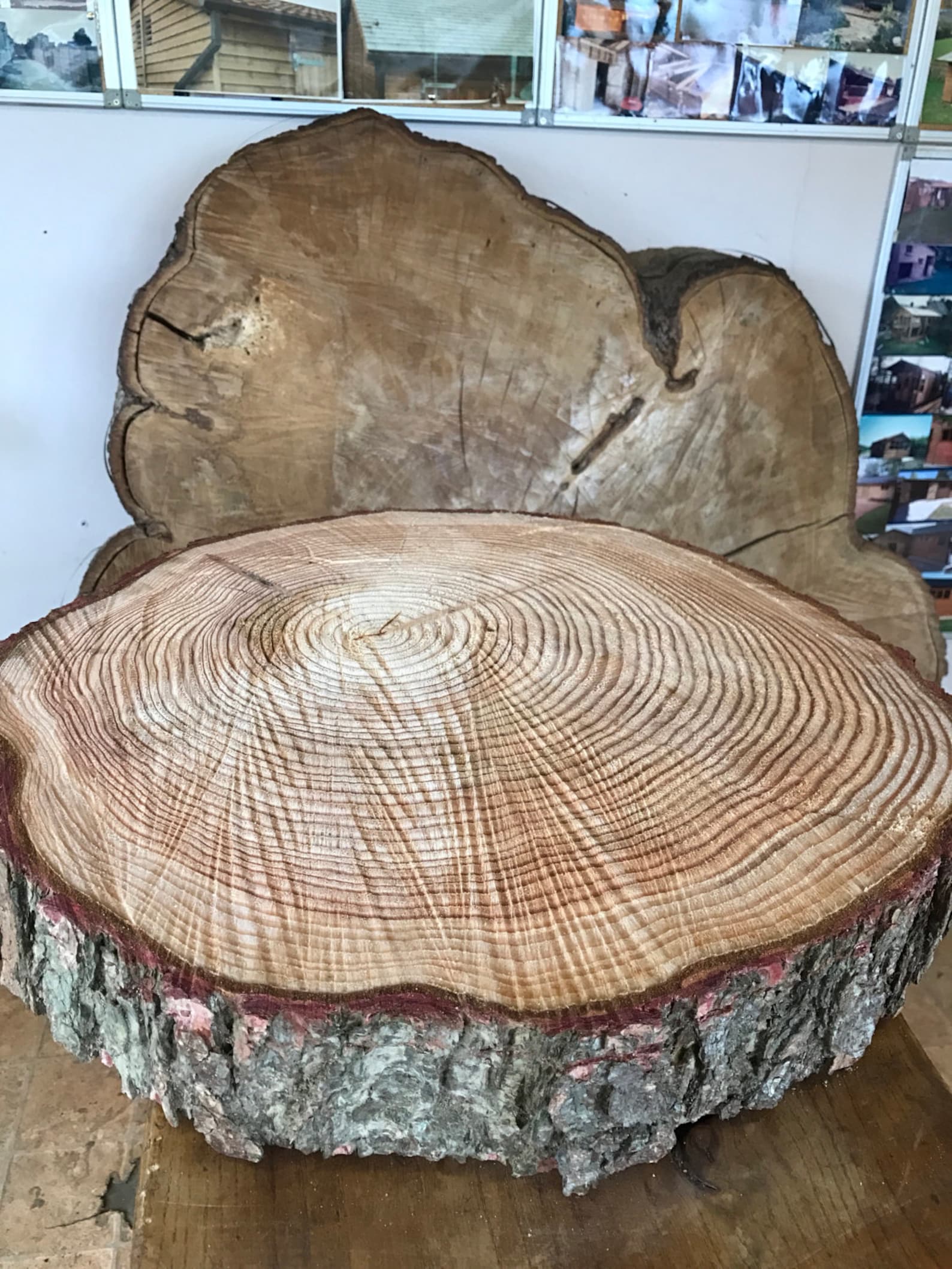 Gorgeous 18 Rustic Log Slice X 3 Thick Ideal for - Etsy UK