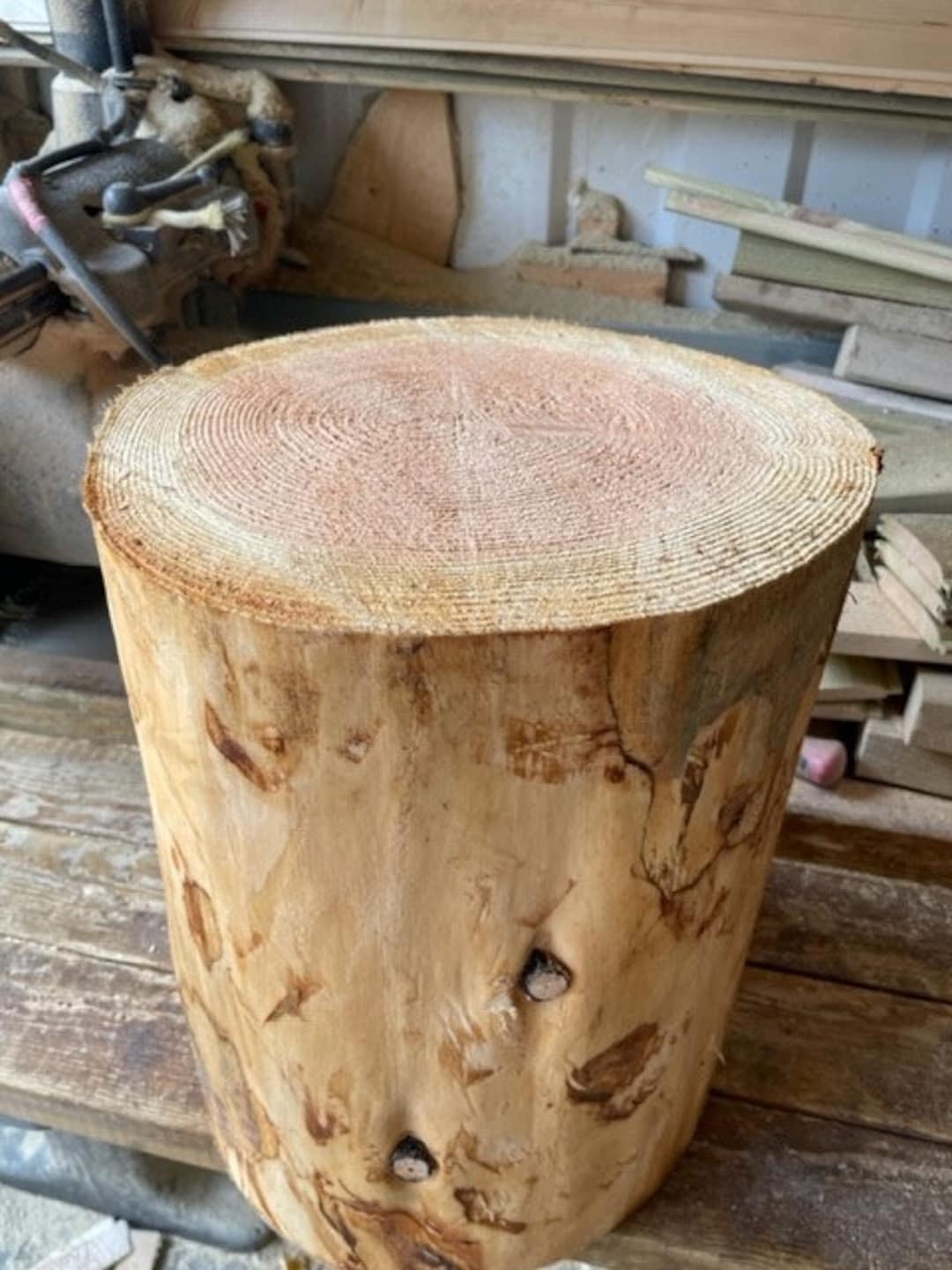 Rustic Log Stump/trunk, Without Bark for Stool Making / Garden, Wedding ...